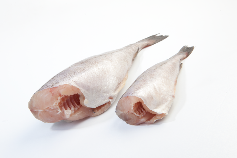 Hake – Maishi Group